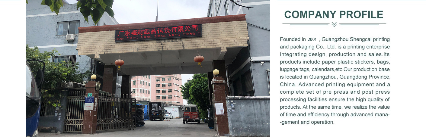 广东盛财纸品包装有限公司 - 我的网站